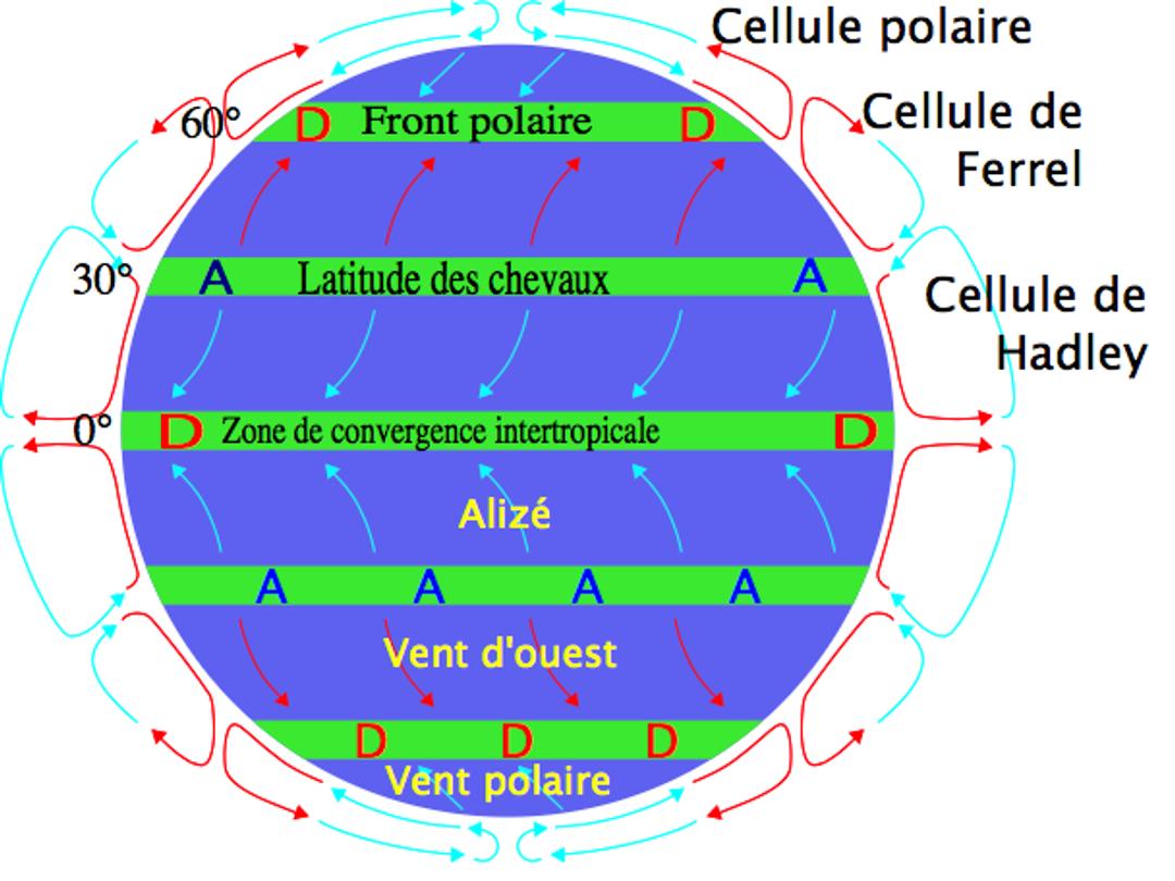 Définition | Alizés : qu'est-ce que c'est ? | Futura planète