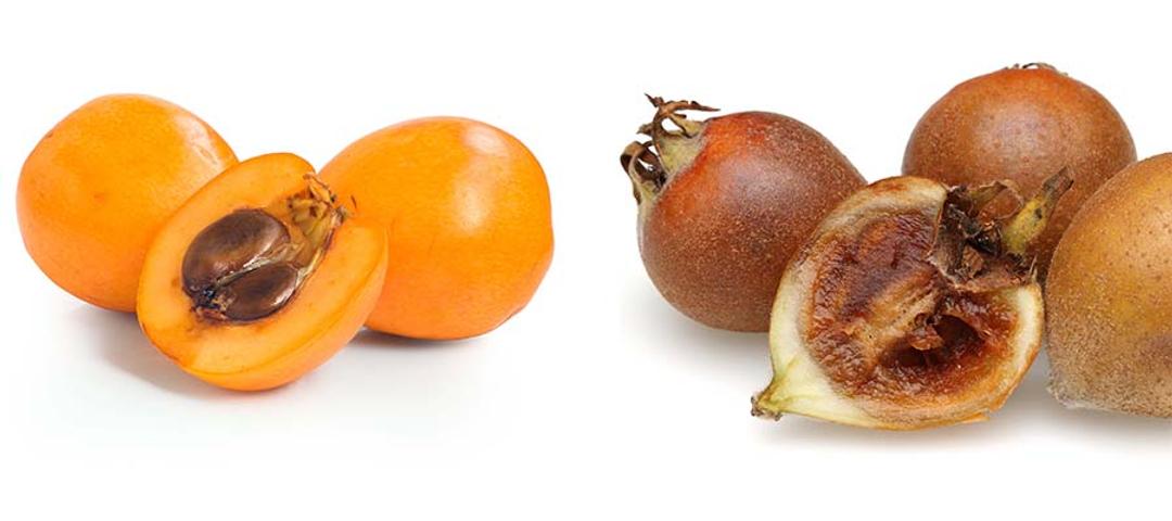 Définition | Nèfle : qu'est-ce que c'est ? | Futura planète