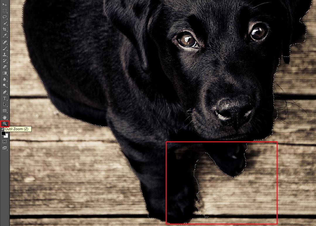 Photoshop : comment bien détourer une image