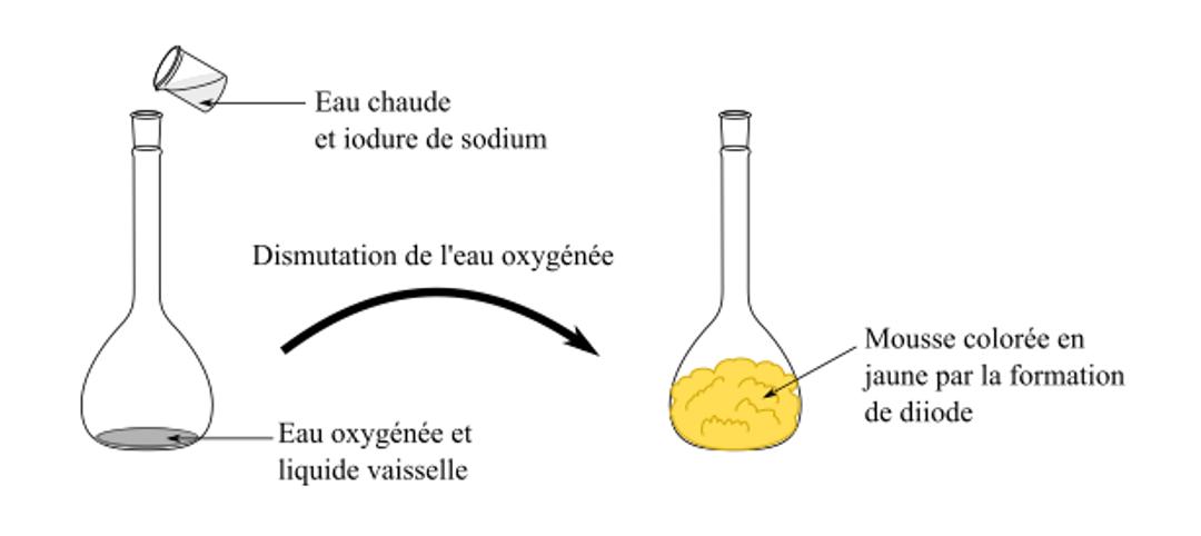 Le dentifrice de l'éléphant : les incroyables expériences de chimie