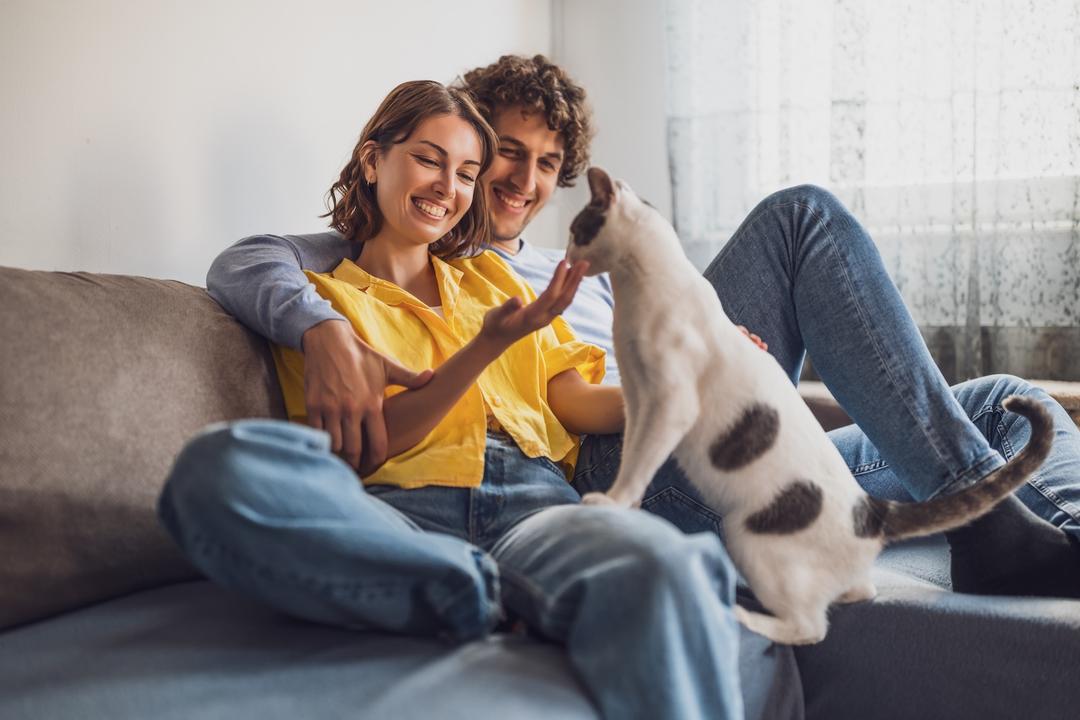 Pourquoi votre chat choisit-il toujours la même personne dans la maison