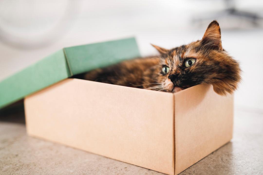 Vous achetez un panier… il choisit un carton : ce que cela révèle sur ...