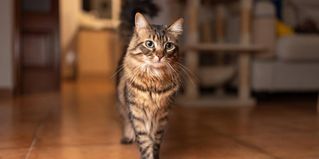 Quatre fois plus vite qu'un bébé : voici ce que des chercheurs ont ...