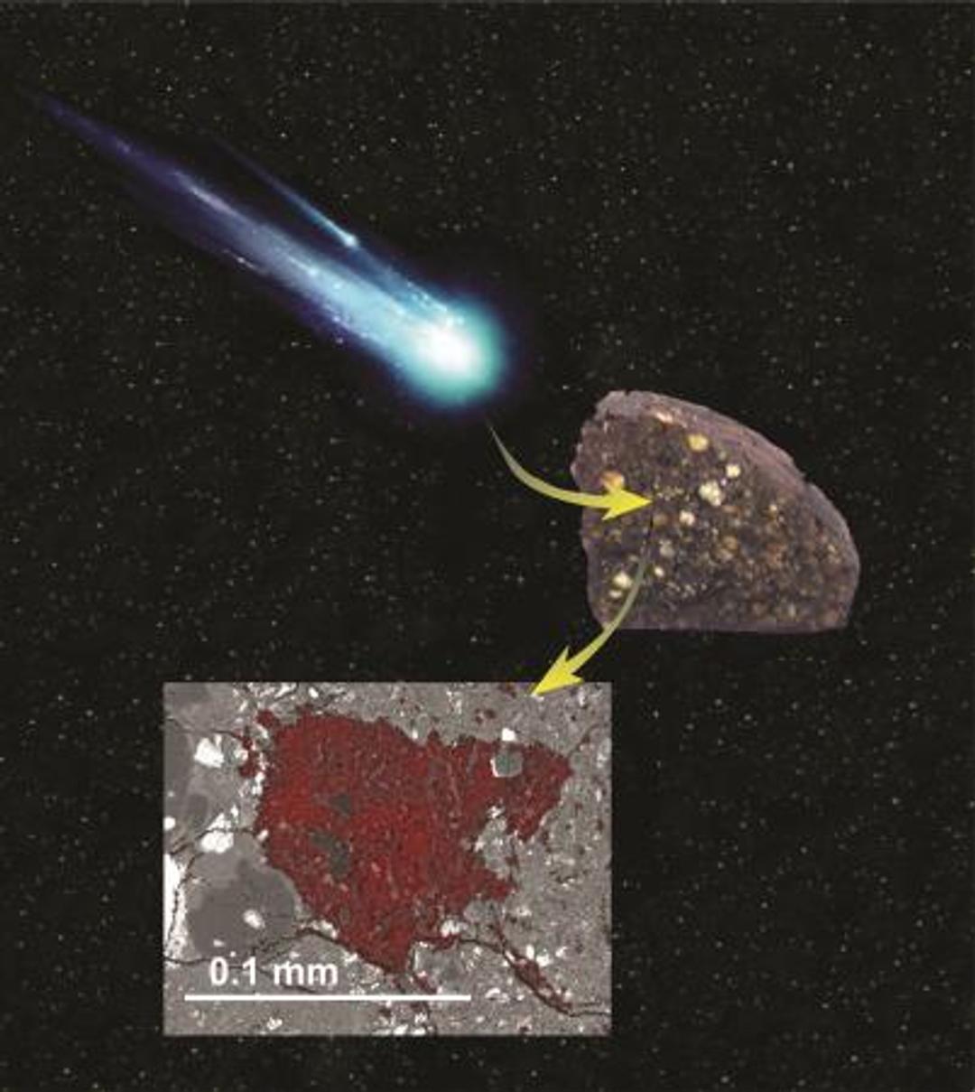 Un fragment de comète découvert... dans une météorite