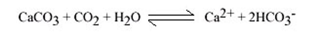 Physique et chimie de la calcite