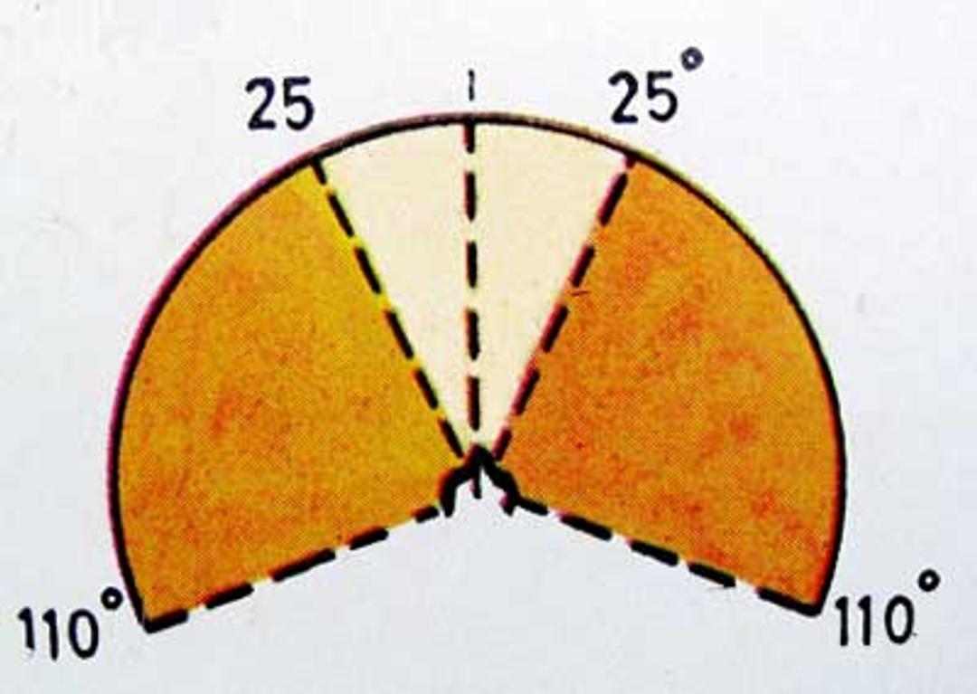 Caractéristiques des rapaces et anatomie : becs, pattes, yeux…