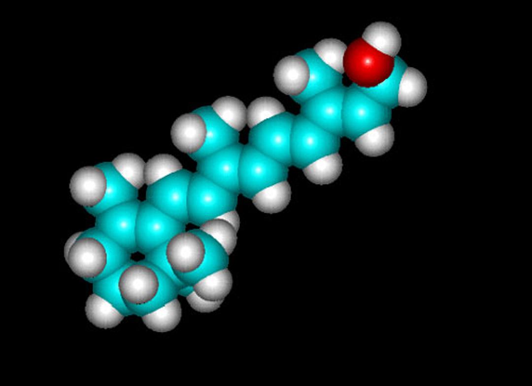 Structure de la rétine : cônes, bâtonnets et perception visuelle