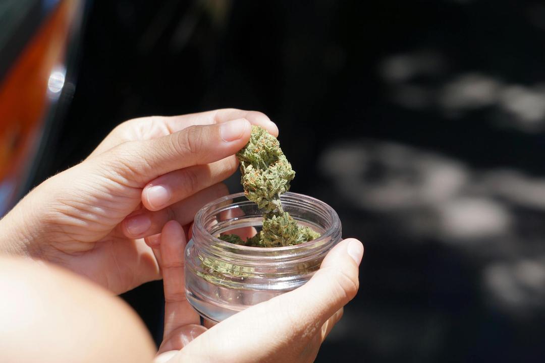 CBD : quelle est la réglementation concernant les dérivés du cannabis