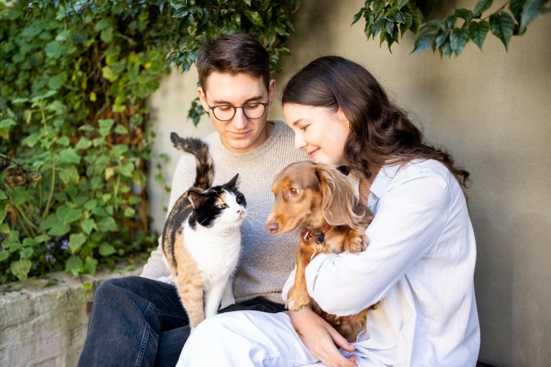 Sommes-nous plus proches des chats ou des chiens génétiquement ? Voici ...