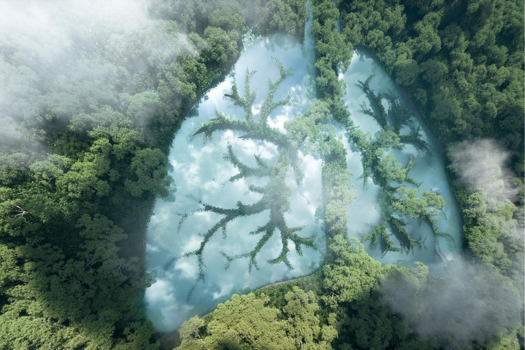 Voici ce qui arrive à vos poumons quand vous arrêtez de fumer