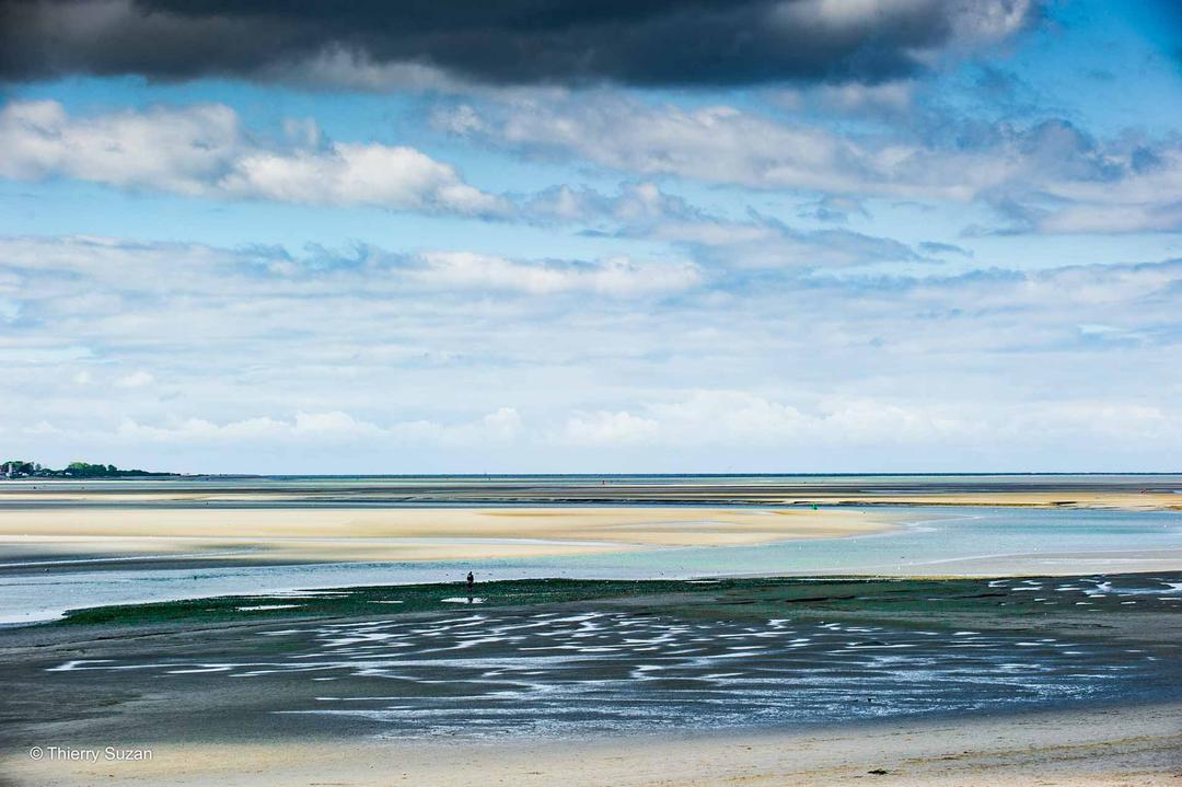 Baie de Somme : brumes, envols d’oiseaux et lumières d’or