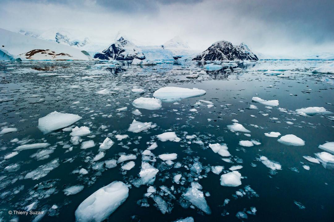 Antarctique : Chenal Lemaire, la route des glaces