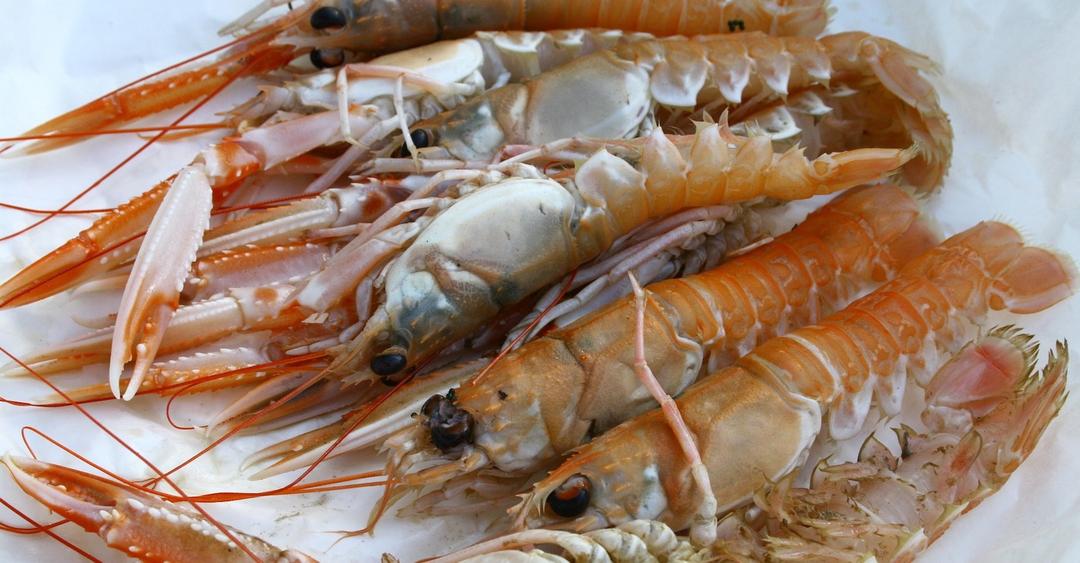 Quelle différence entre un homard et une langouste