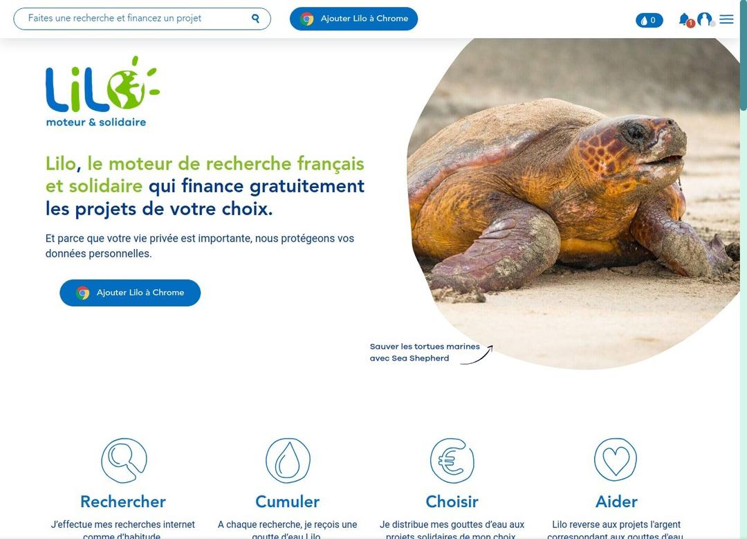Définition | Lilo : qu'est-ce que c'est ? | Futura tech