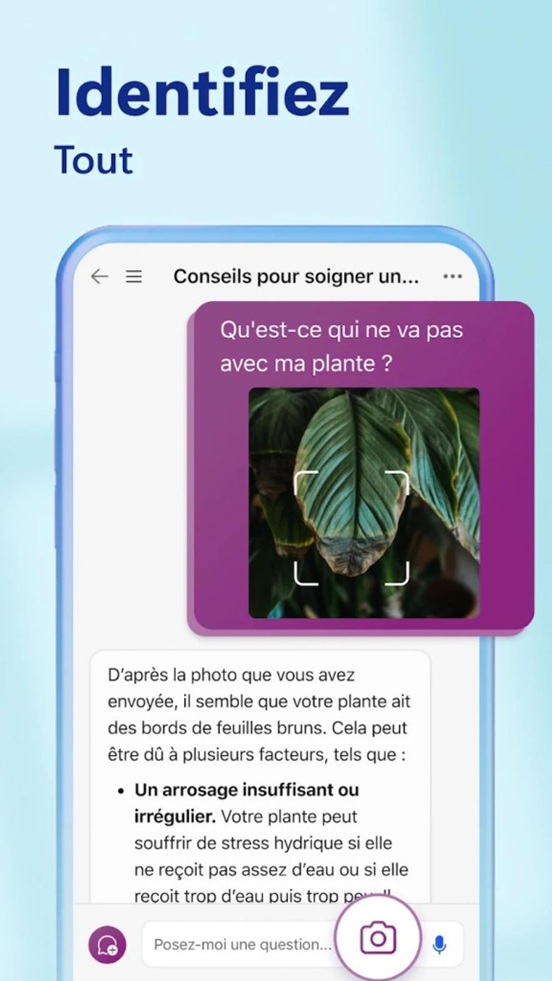 Définition | Microsoft Bing : qu'est-ce que c'est ? | Futura tech