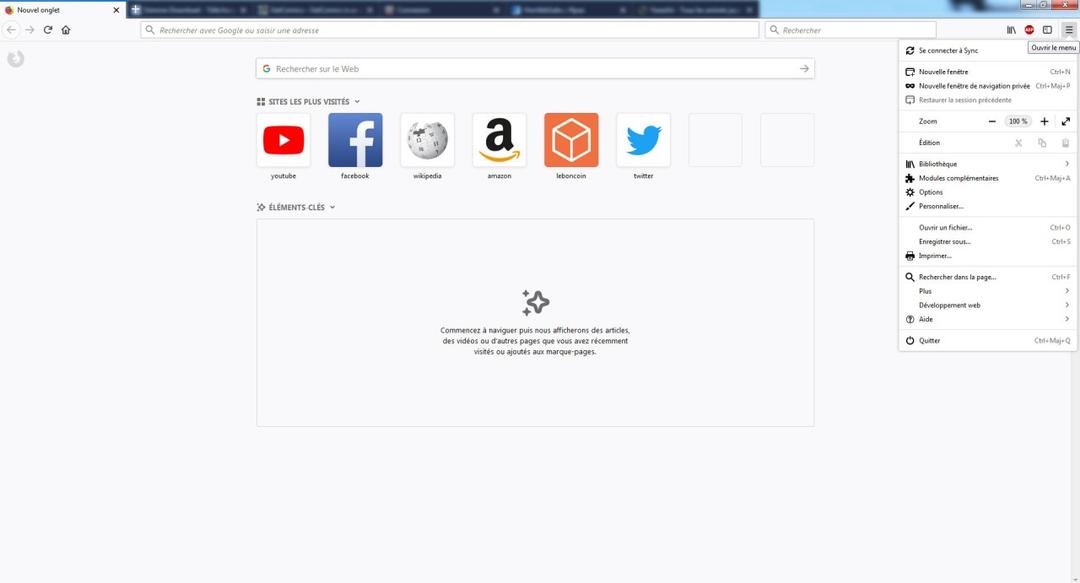 Définition | Mozilla Firefox : qu'est-ce que c'est ? | Futura tech