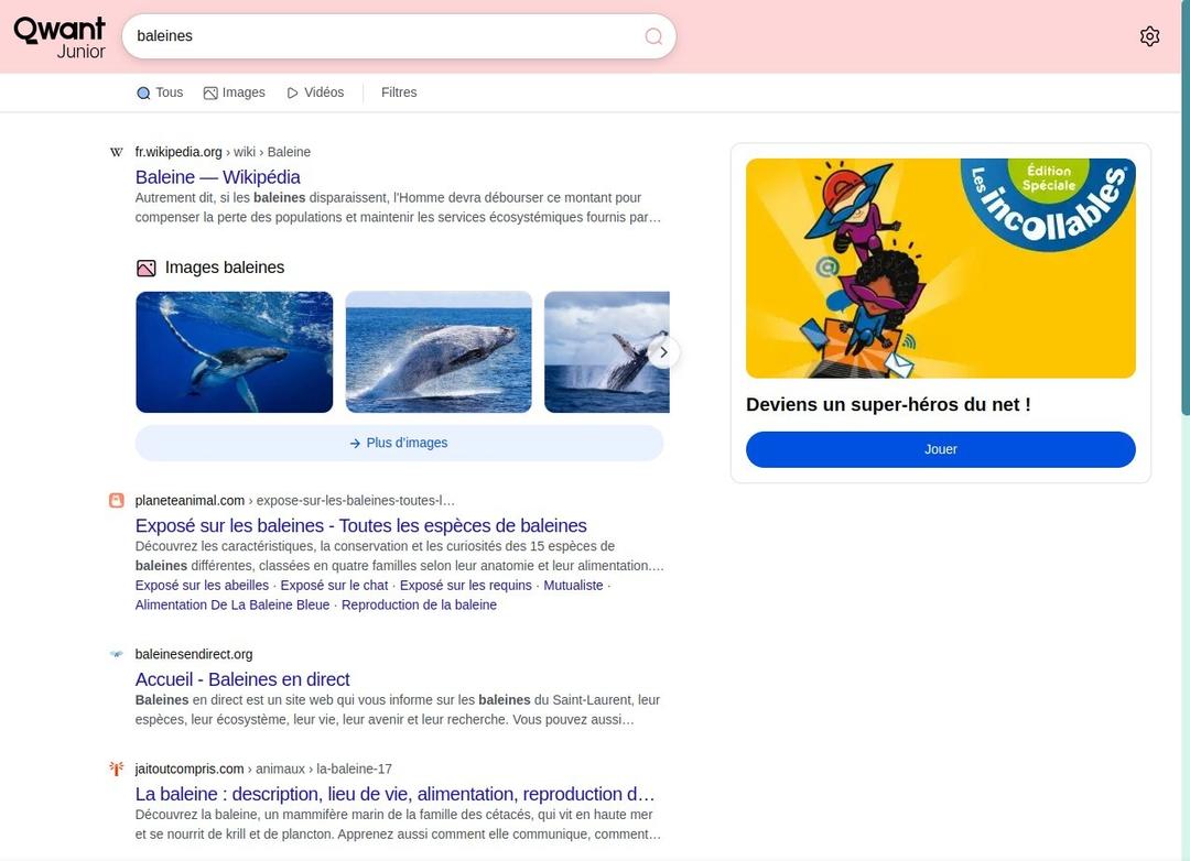 Définition | Qwant Junior : qu'est-ce que c'est ? | Futura tech
