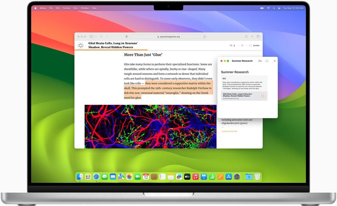 Définition | Safari : qu'est-ce que c'est ? | Futura tech