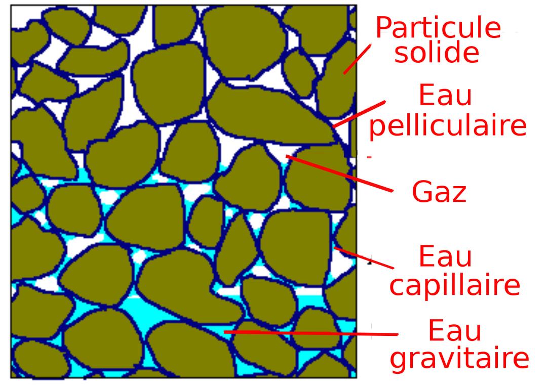 Définition | Texture capillaire : qu'est-ce que c'est ? | Futura planète