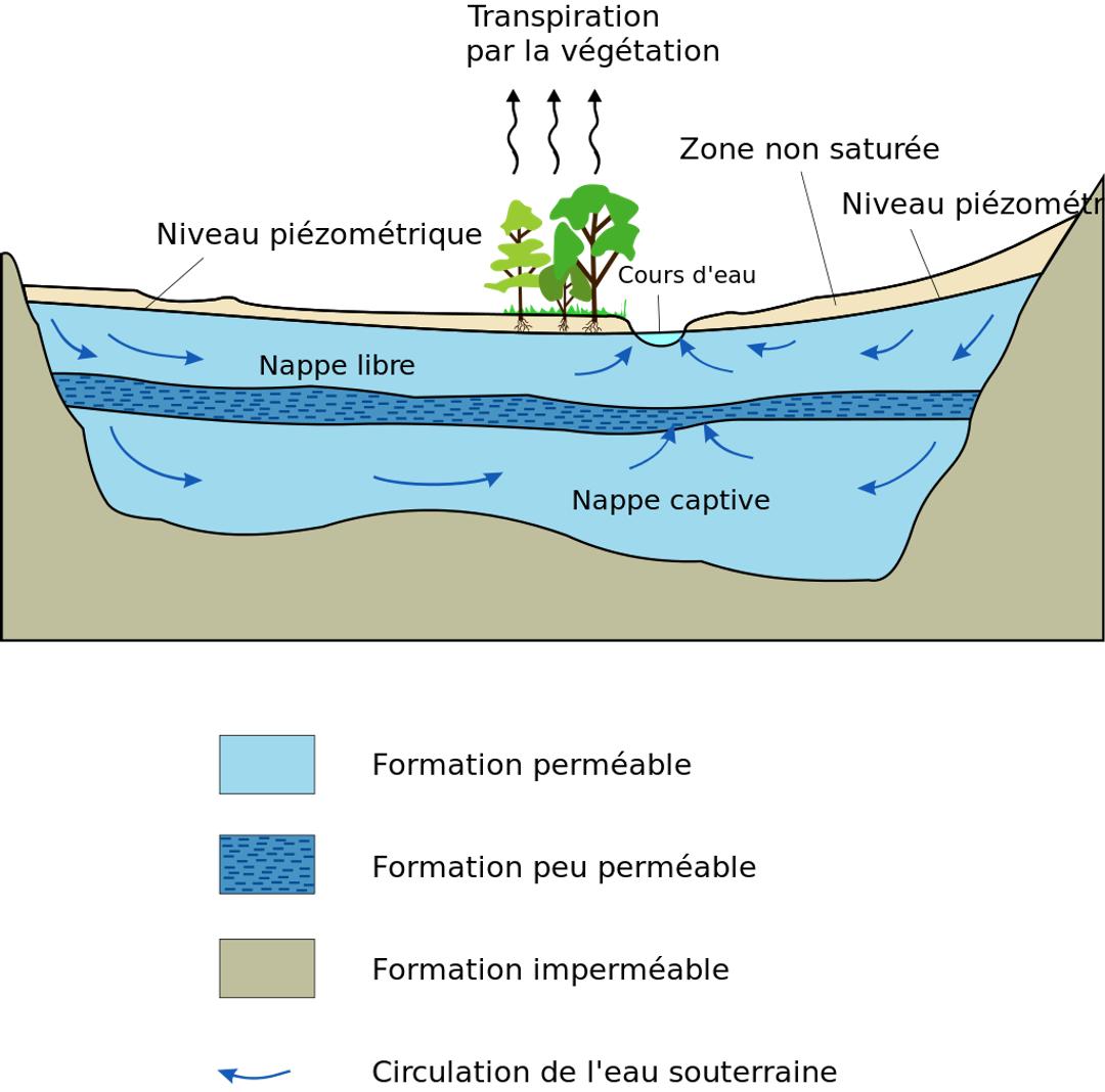 Définition | Nappe phréatique : qu'est-ce que c'est ? | Futura planète