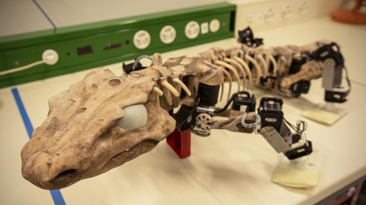 Un robot redonne vie à ce lézard géant fossilisé de 300 millions d'années