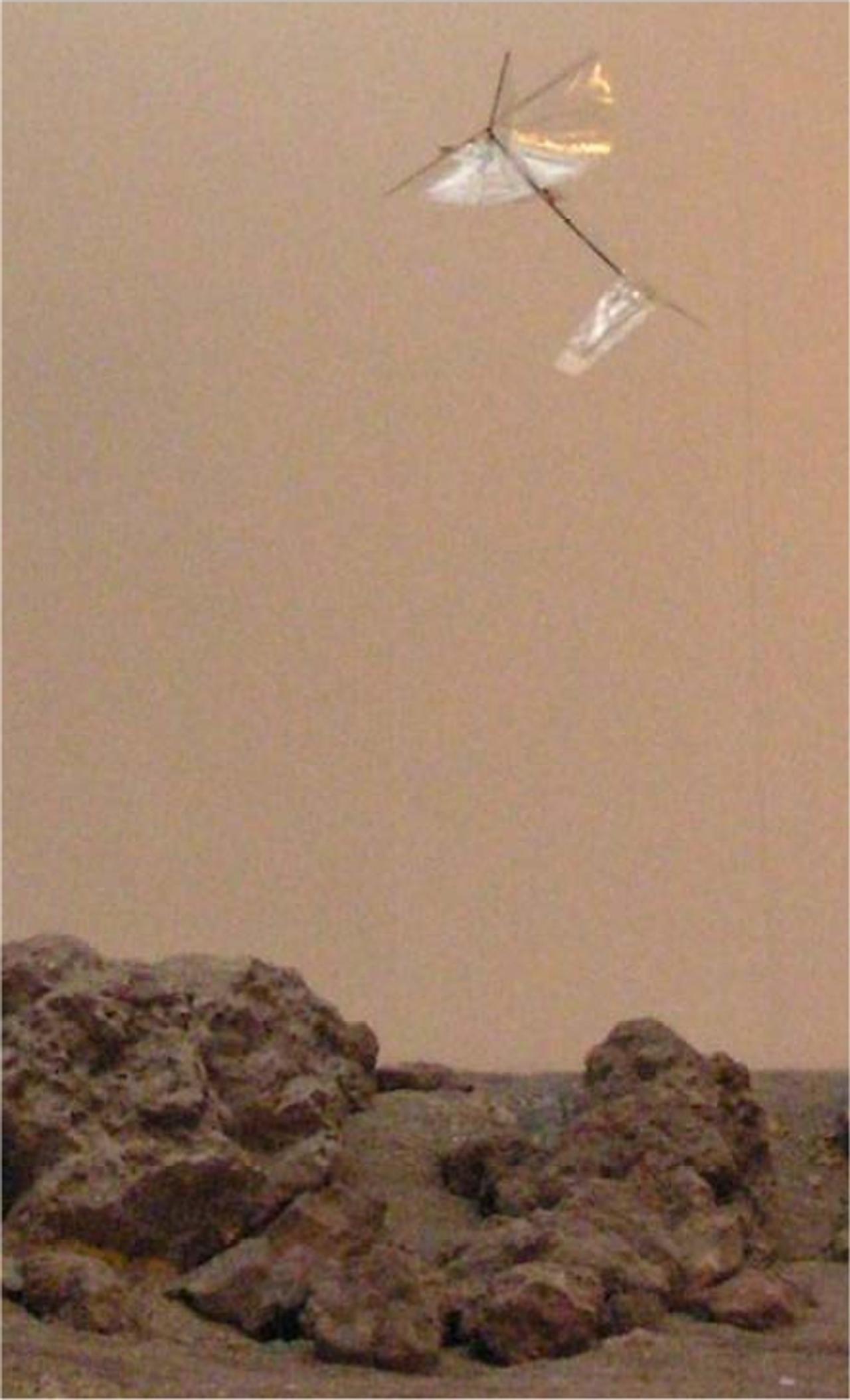 Exofly, un robot volant à ailes battantes pour Mars