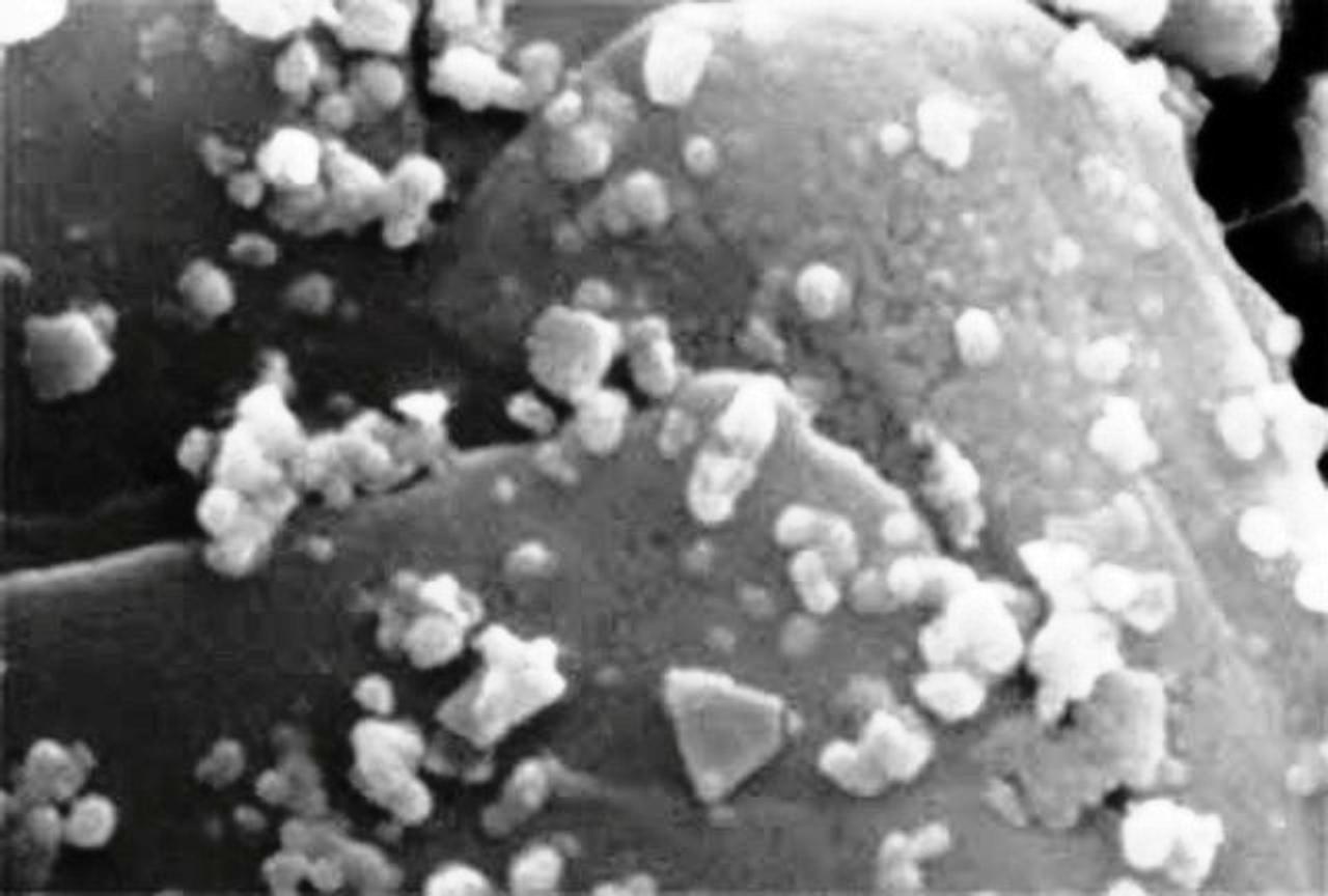 Pour vivre, des extrêmophiles utilisent... l'uranium