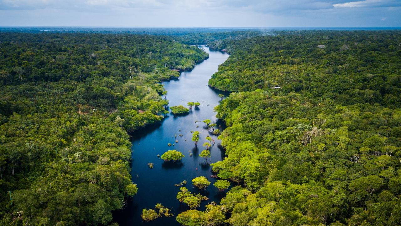 Déforestation et climat : l’Amazonie se rapproche dangereusement de son ...