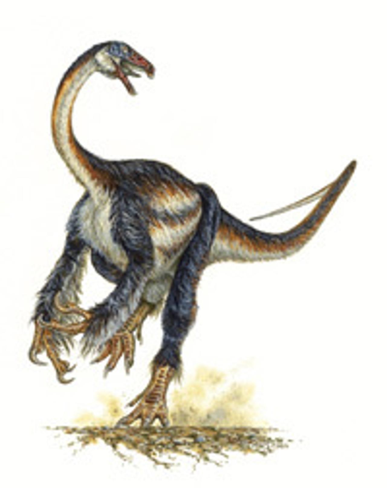 Falcarius utahensis : chaînon manquant entre les dinosaures carnivores ...