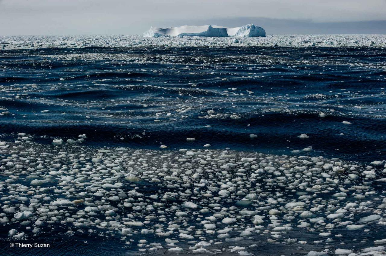 Antarctique : Odyssée blanche sur la mer de Weddell