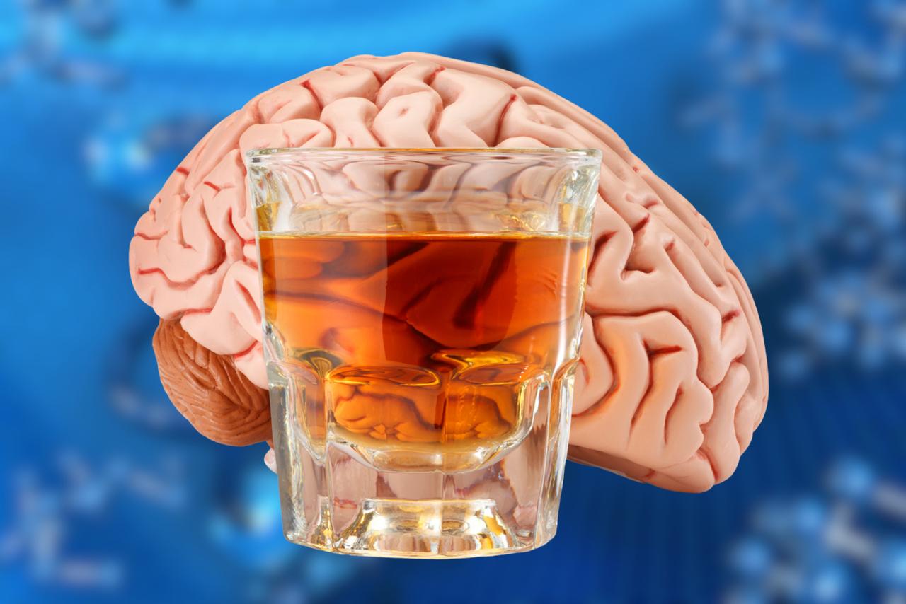 Pourquoi boire abîme-t-il bien plus le cerveau qu’on ne le pense