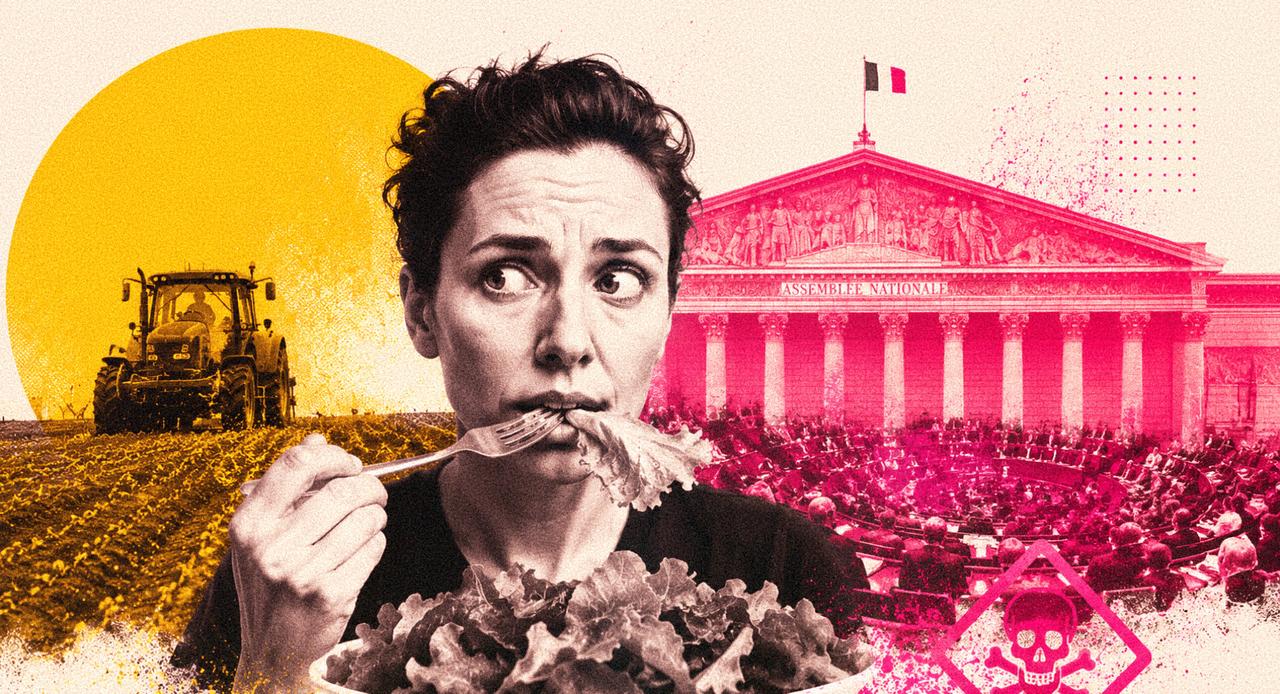Un vote historique à l'Assemblée sur le cadmium, mais la bataille est ...