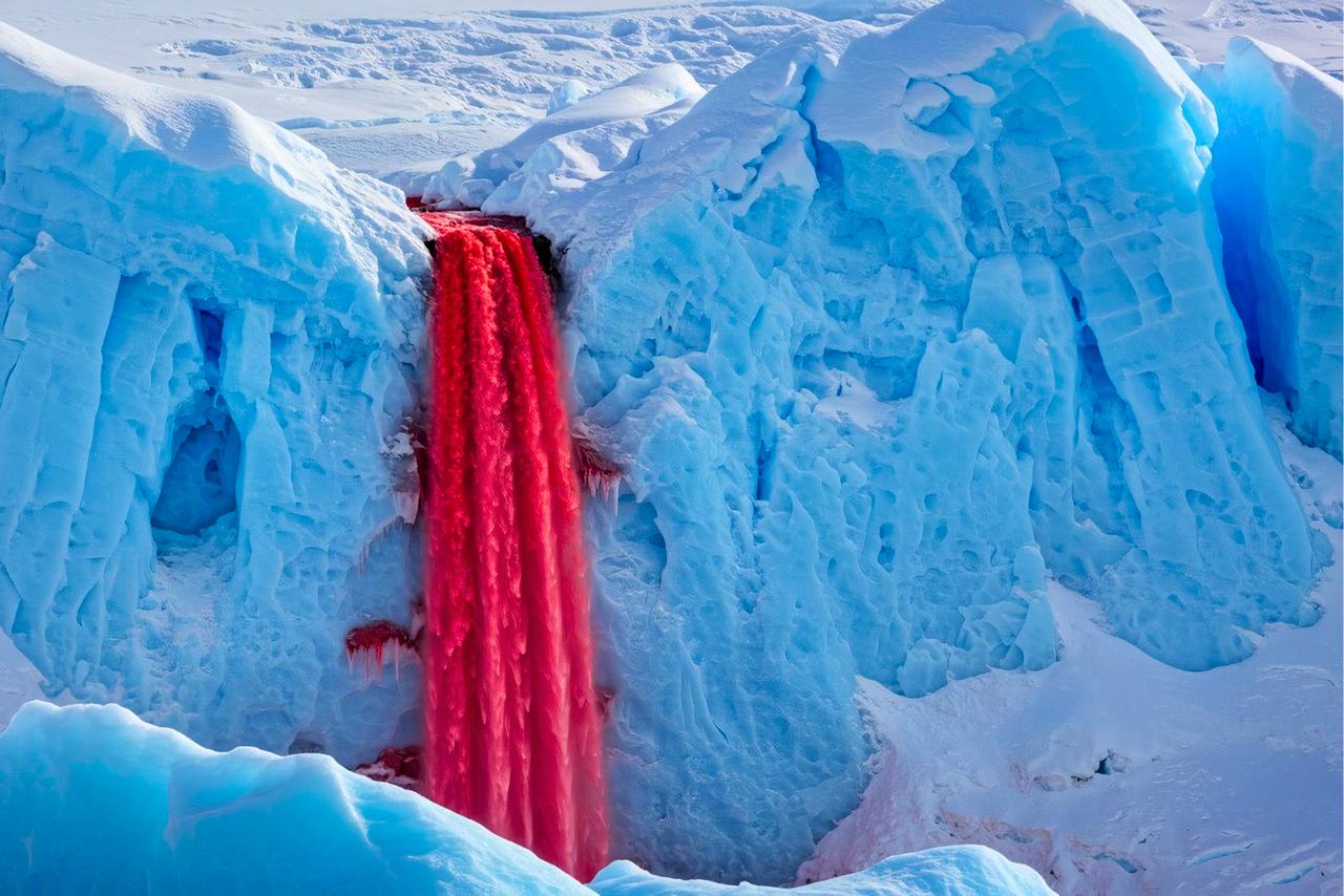 « Cascades de sang » en Antarctique : enfin une explication ...