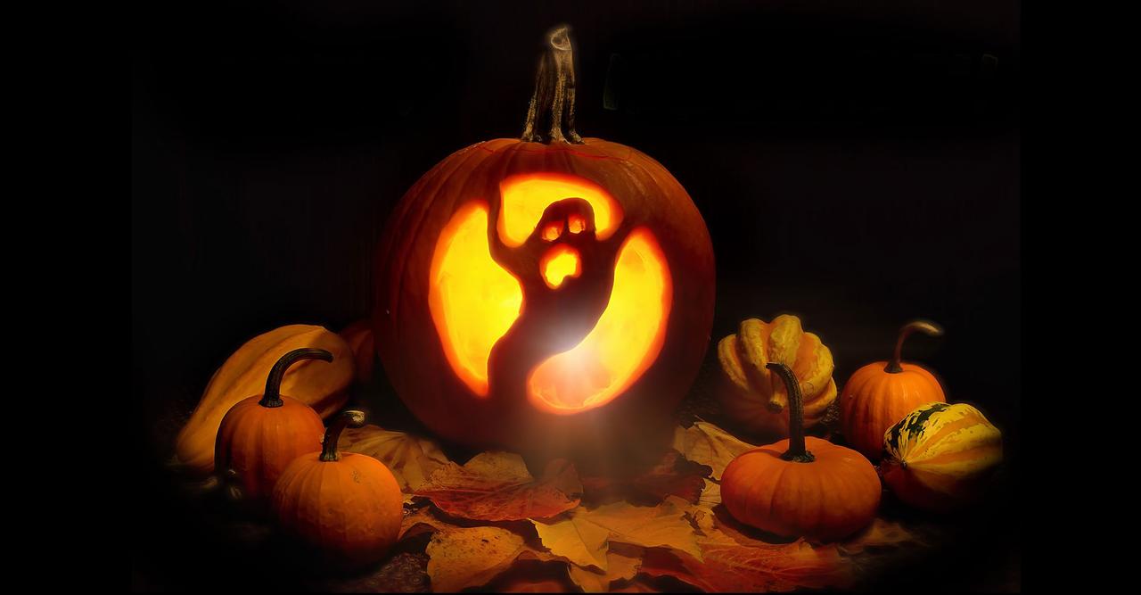 Halloween, citrouilles et cucurbitacées