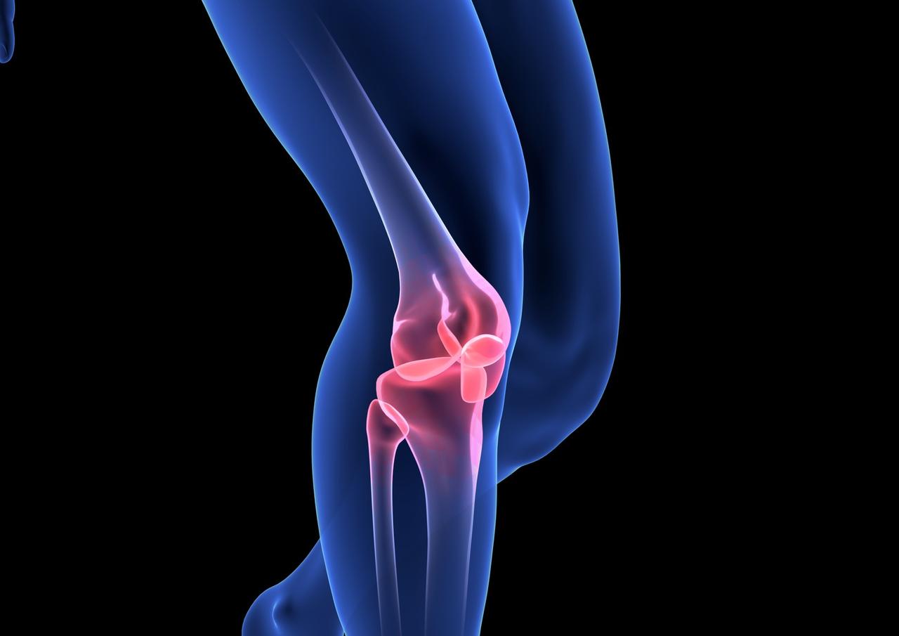 Définition | Cartilage : qu'est-ce que c'est ? | Futura santé