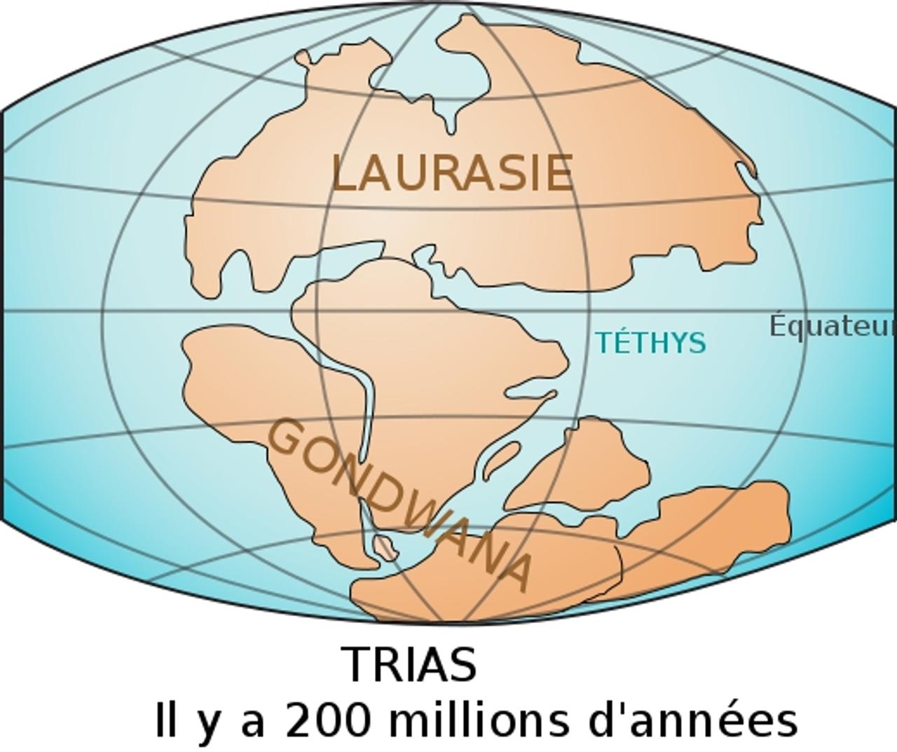 Définition | Gondwana : qu'est-ce que c'est ? | Futura planète