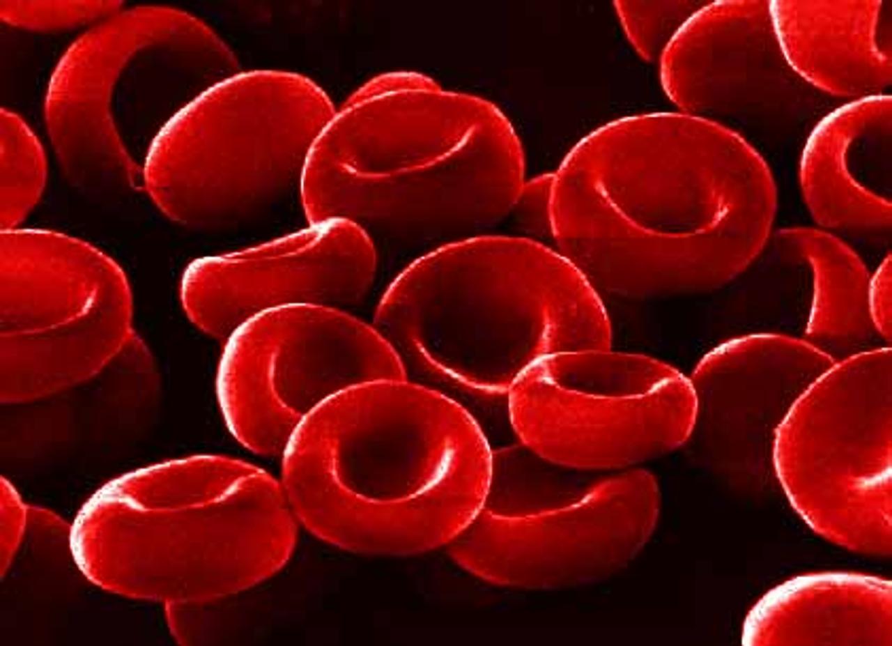 Définition | Globule rouge : qu'est-ce que c'est ? | Futura santé