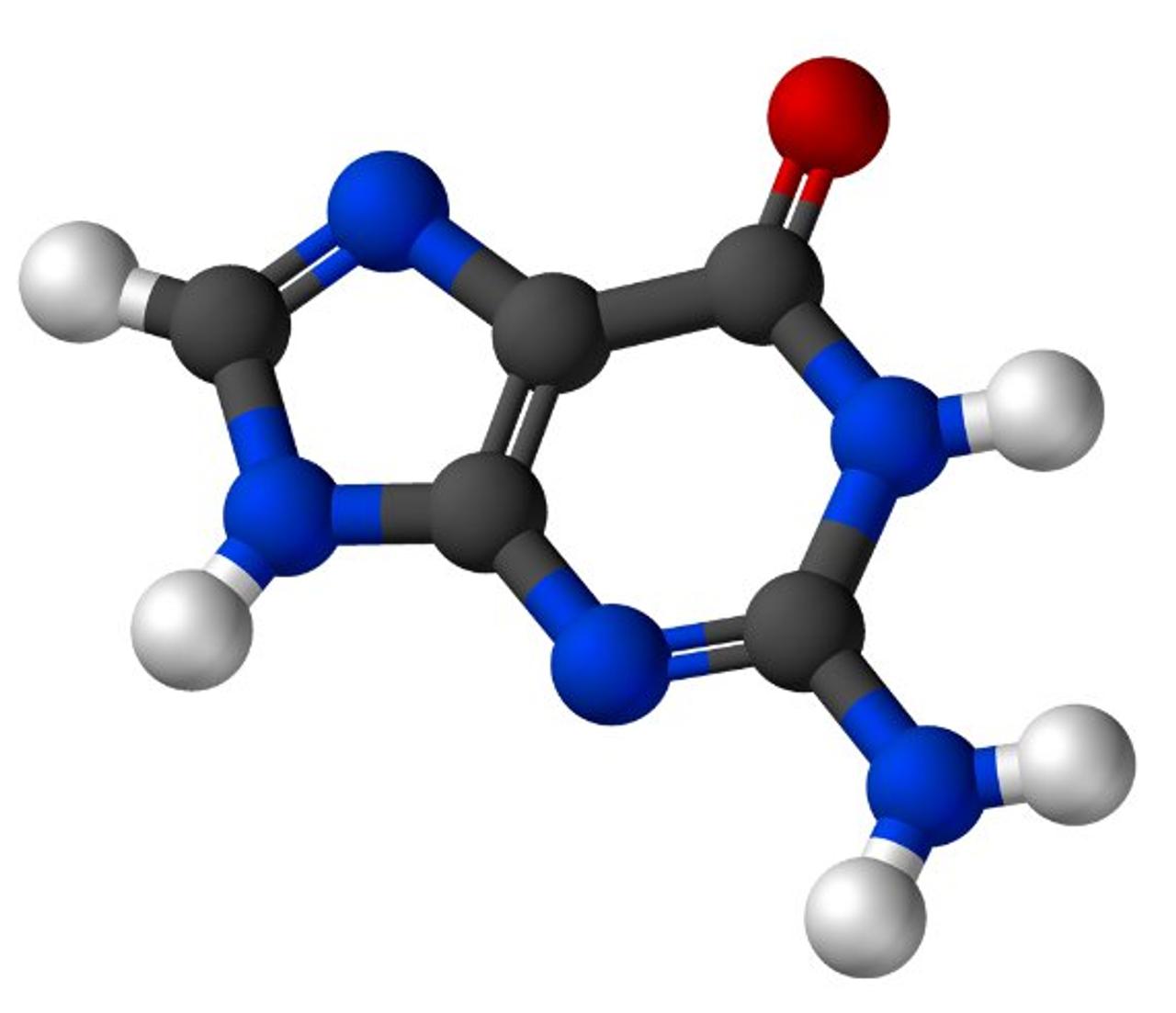 Définition | Guanine : qu'est-ce que c'est ? | Futura santé
