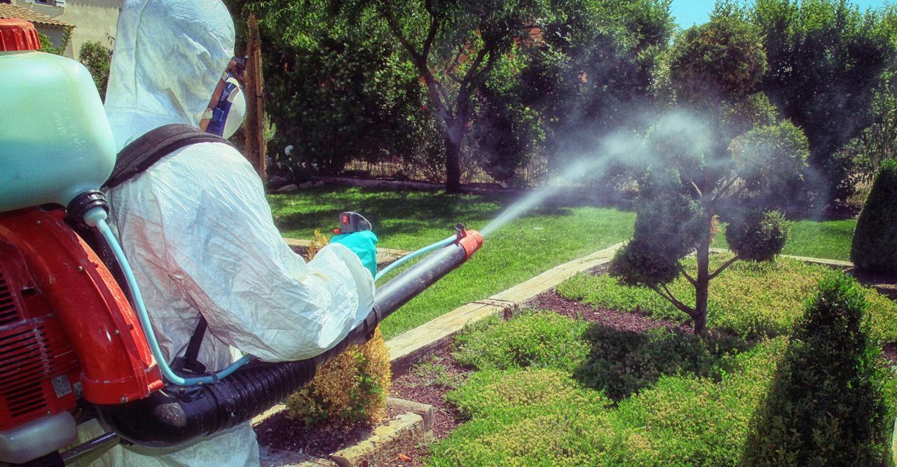 Définition | Intrant : qu'est-ce que c'est ? | Futura planète