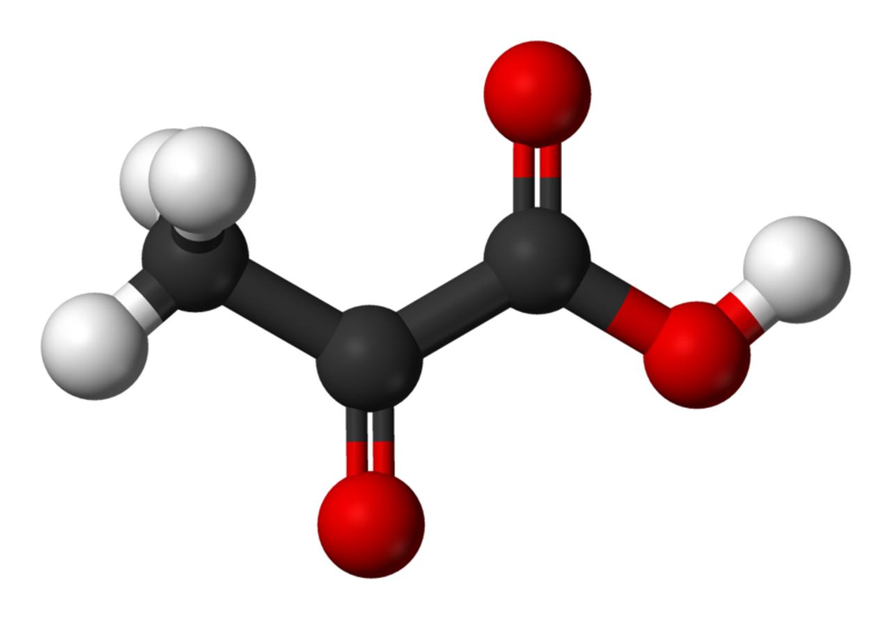 Définition | Pyruvate : qu'est-ce que c'est ? | Futura santé