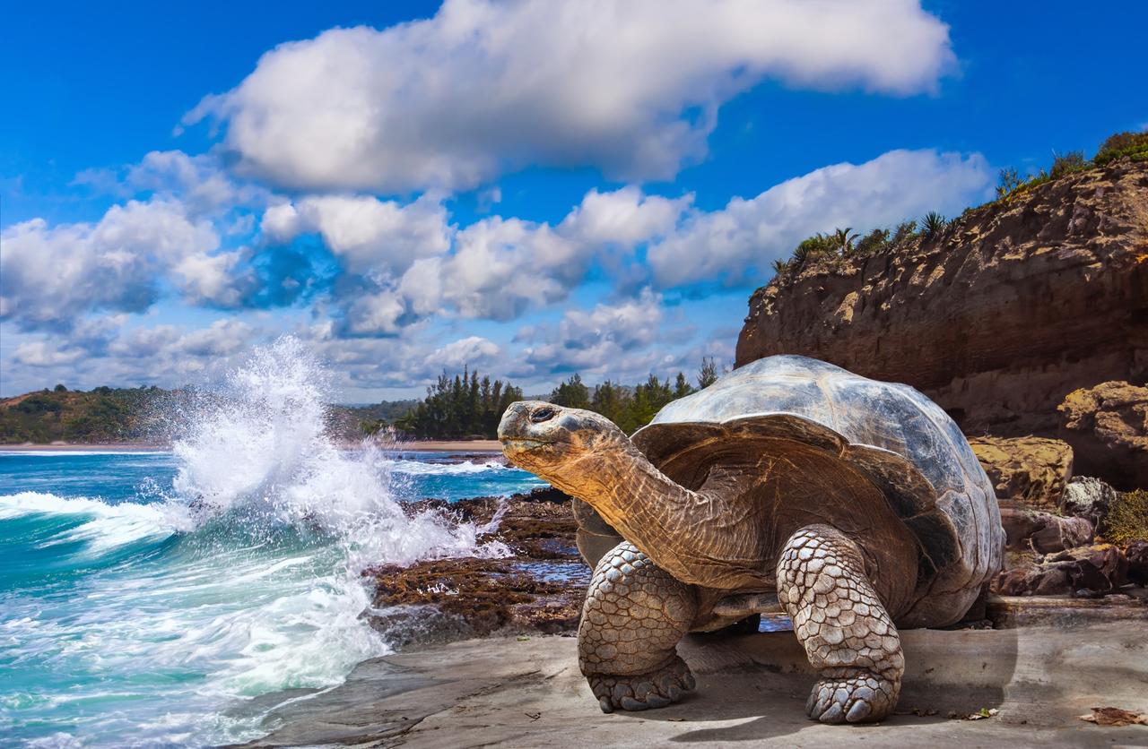 Une expédition avec Sarah Darwin jusqu’aux Galapagos, 180 ans après son ...