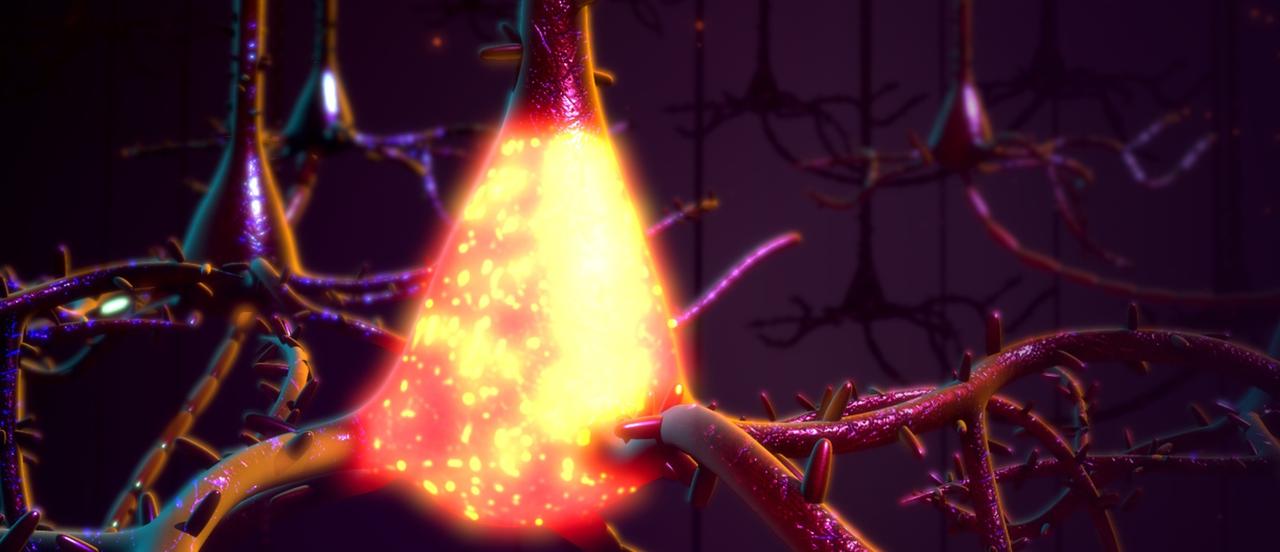 Définition | Neurone pyramidal : qu'est-ce que c'est ? | Futura santé