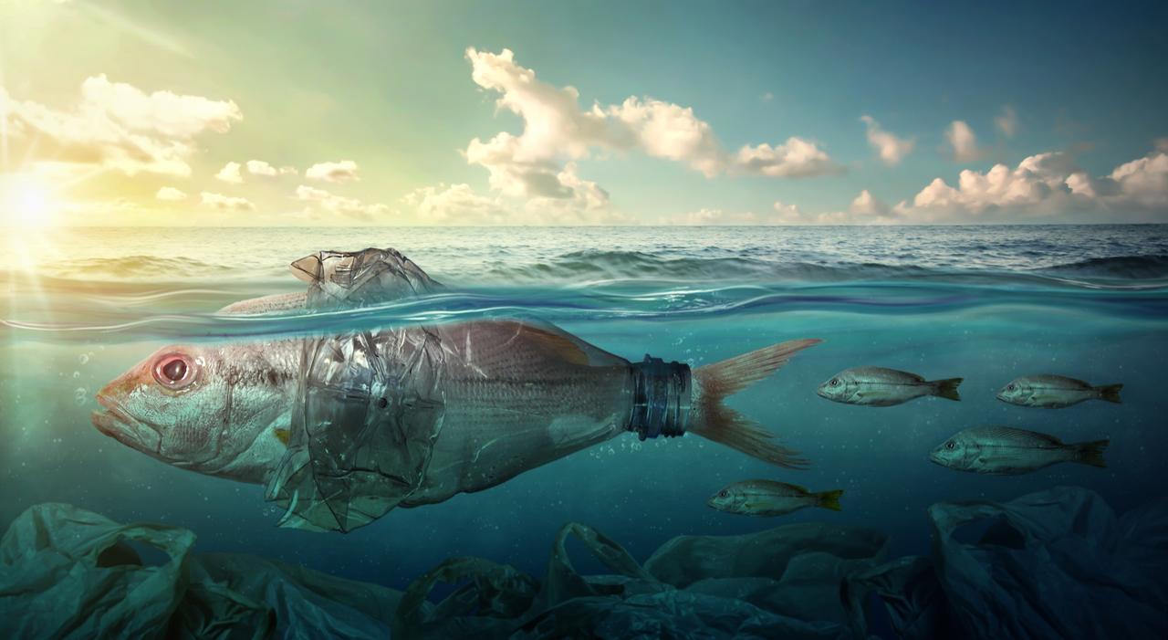 On sait de quels pays proviennent les déchets de plastique qui polluent ...