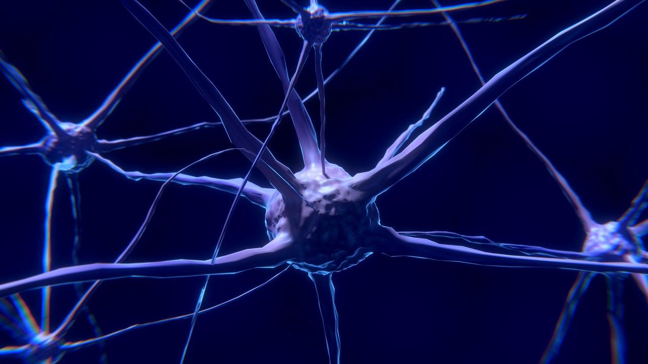 Alzheimer : un acide aminé du quotidien révèle un potentiel surprenant ...