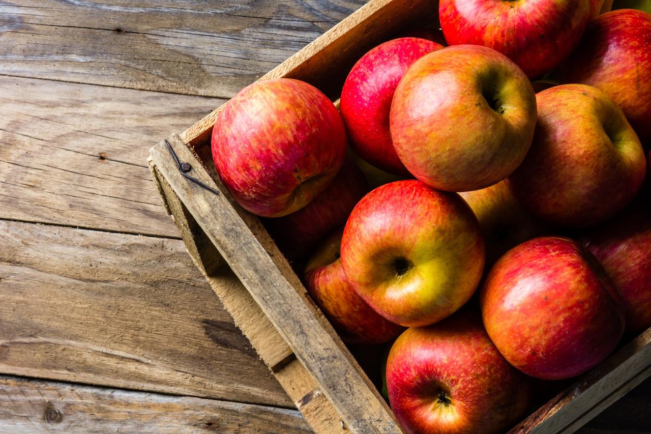 Fruits d'automne : la pomme et ses bienfaits pour la santé