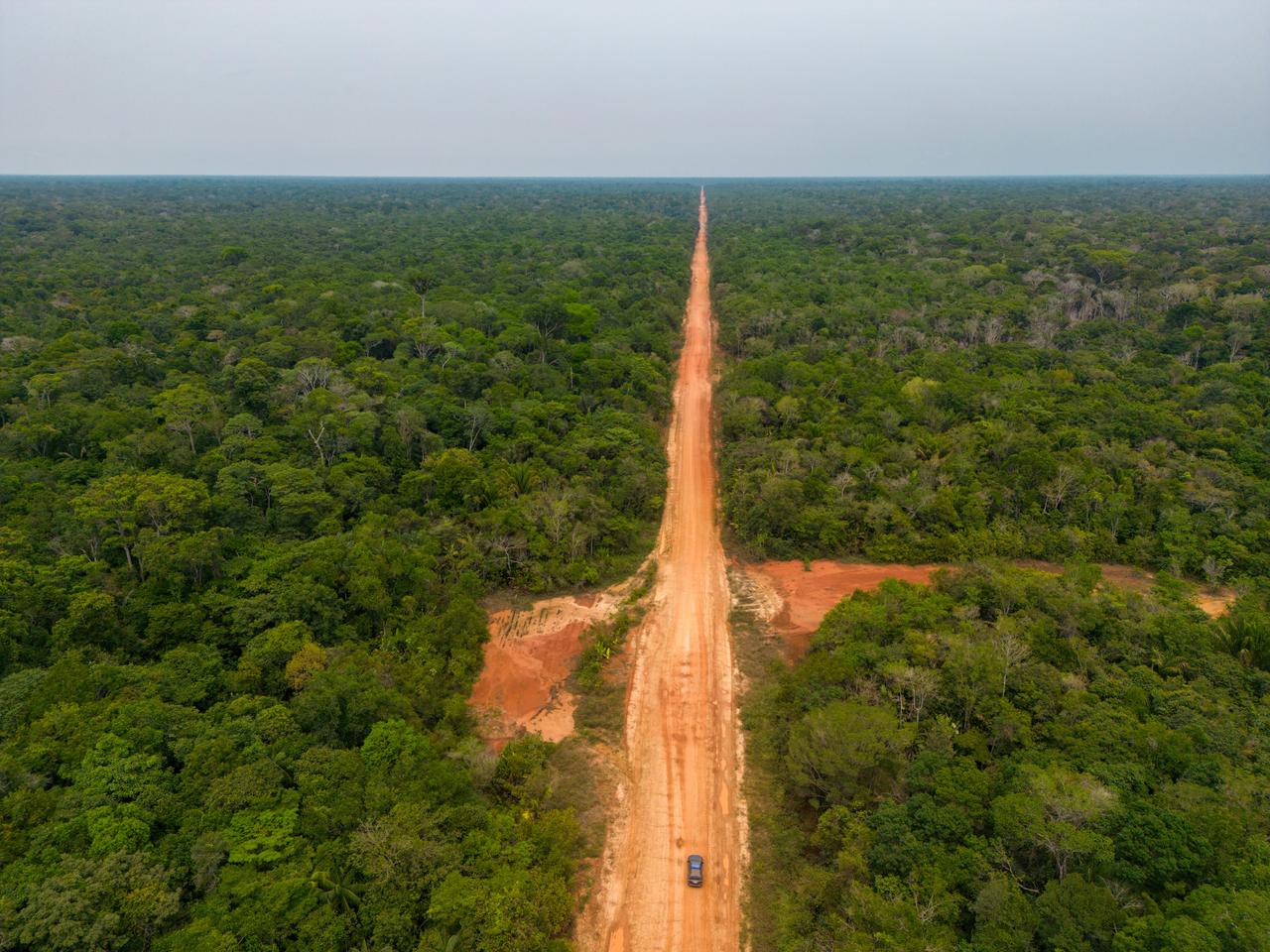 Tout va bien : une autoroute coupe en deux l’Amazonie pour accueillir ...