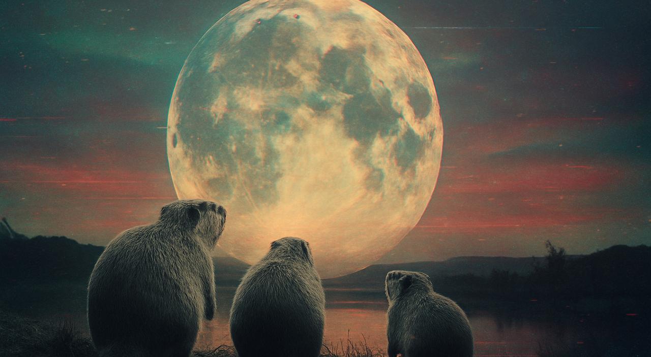 Super Lune du castor : voici ce que vous allez vraiment voir (ou pas ...