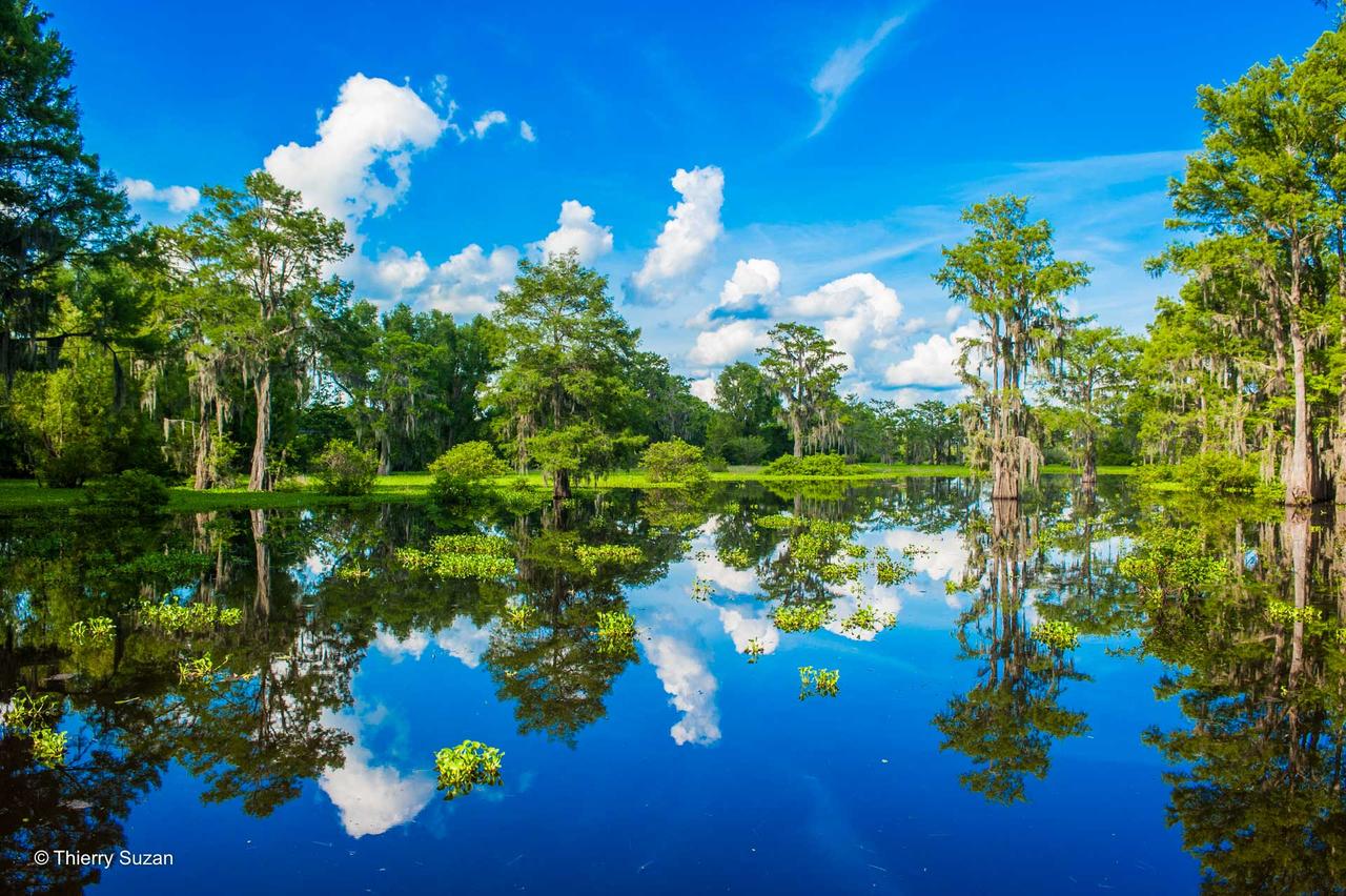 Louisiane : bayous, créoles et terres chargées de mémoire