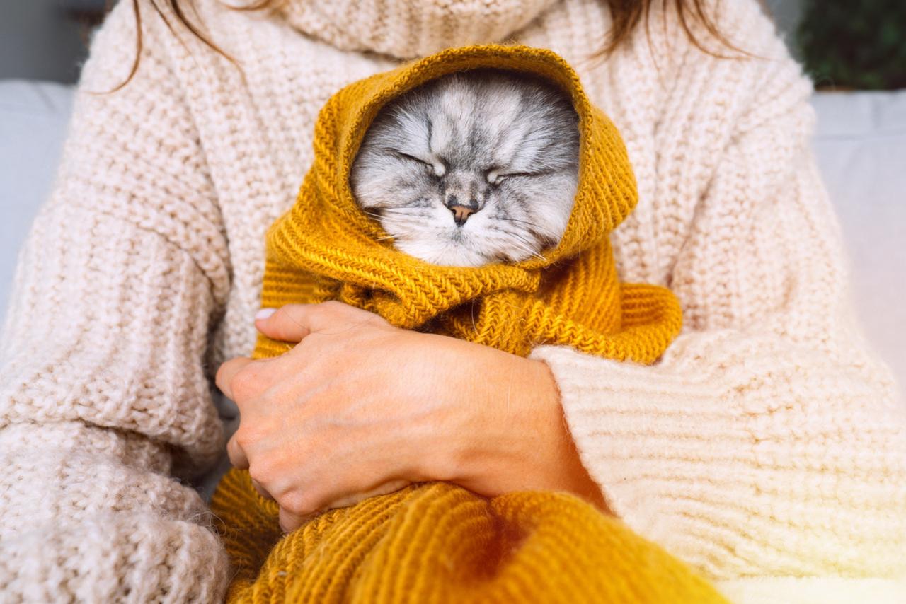 À partir de quelle température le froid devient-il dangereux pour votre ...