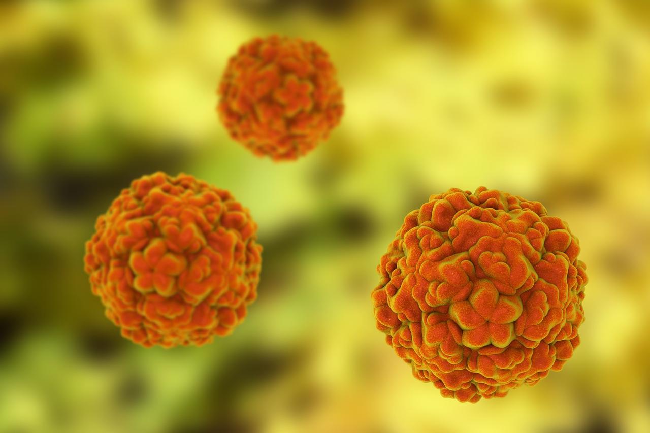 Définition | Virus : qu'est-ce que c'est ? | Futura santé